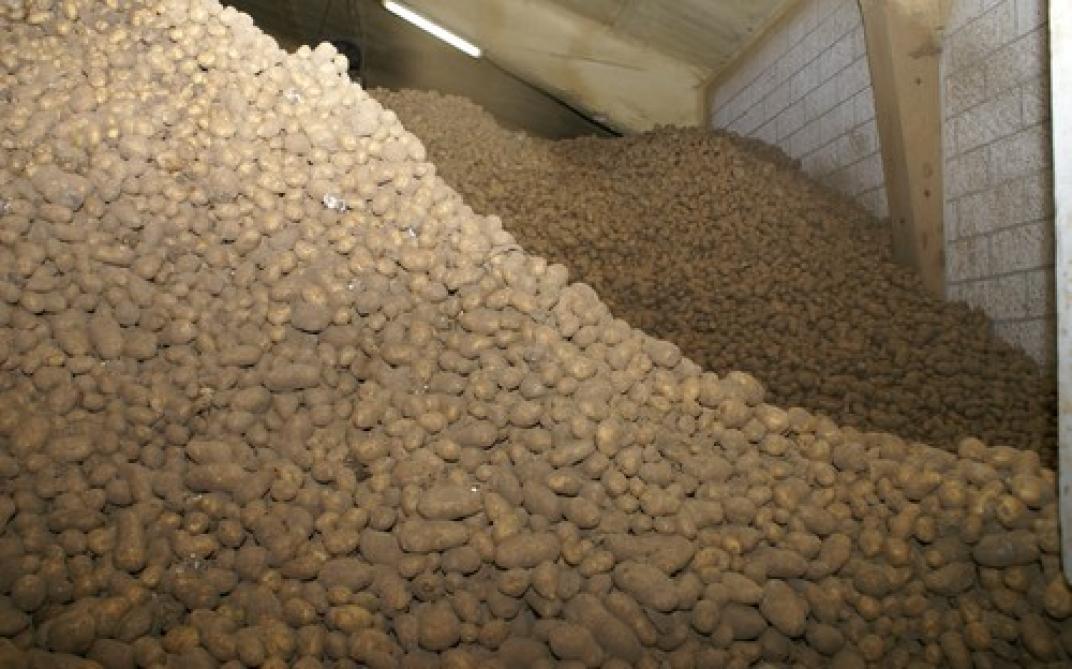 Digitaal meten van je oogst tijdens de opslag: ontdek de mogelijkheden - Landbouwleven