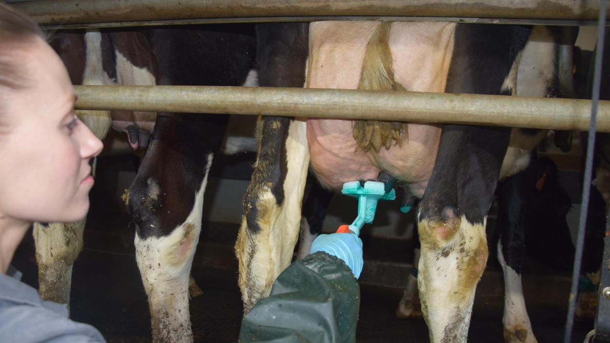 Het einde van de dipbeker is nabij - Landbouwleven