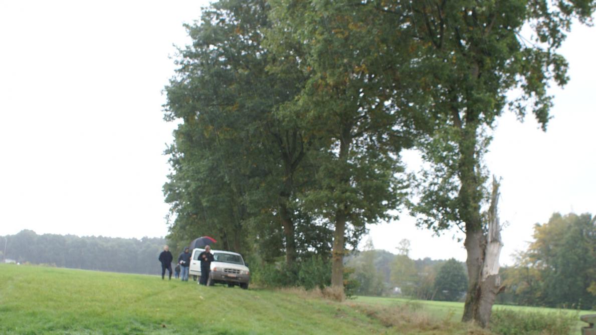 Wie is verantwoordelijk voor een boom die over de perceelsgrens staat ...