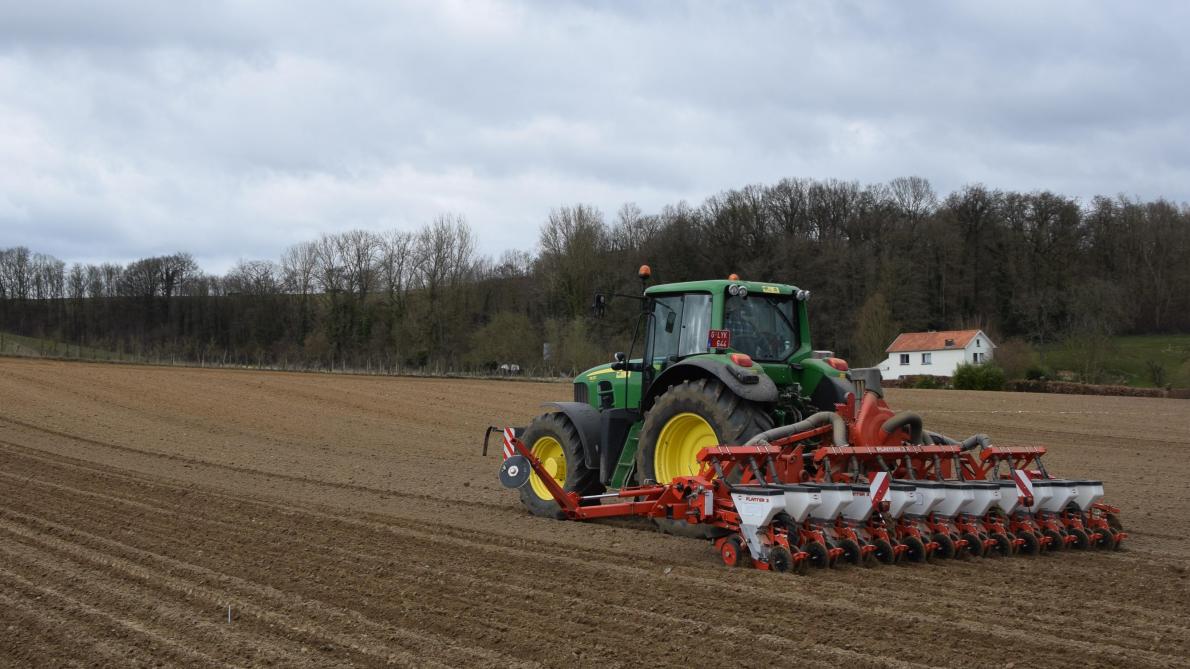De Tiense Suikerraffinaderij lanceert biologische bietsuiker ...