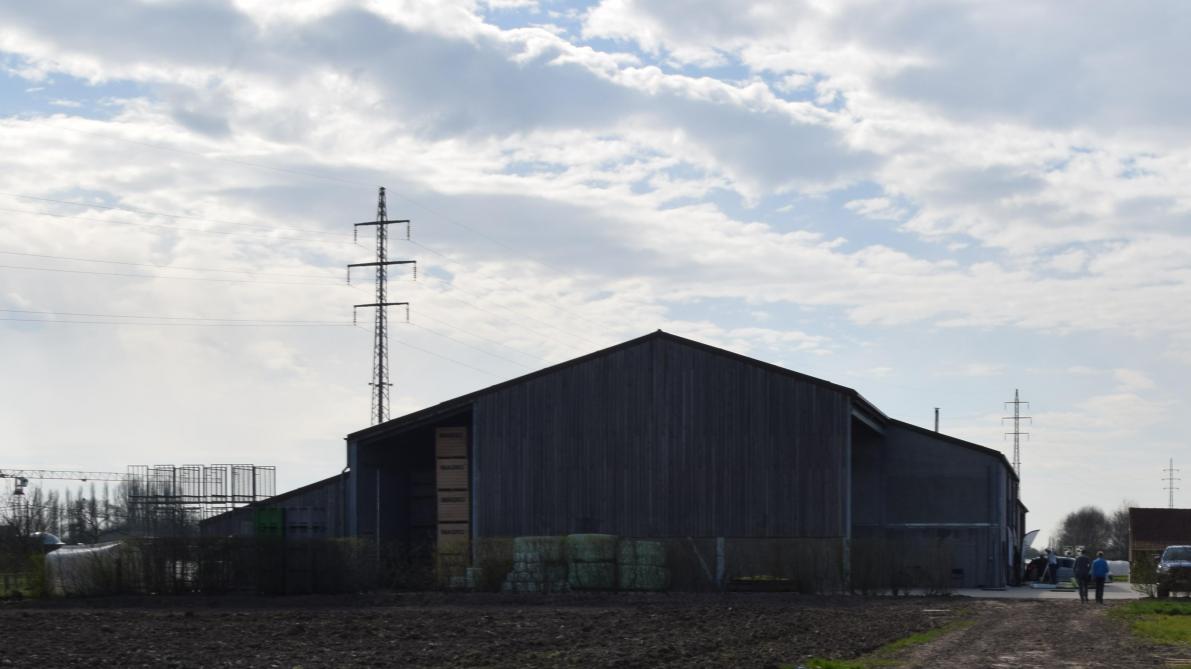 Hogere doelstellingen in tegengaan vermesting en verzuring - Landbouwleven