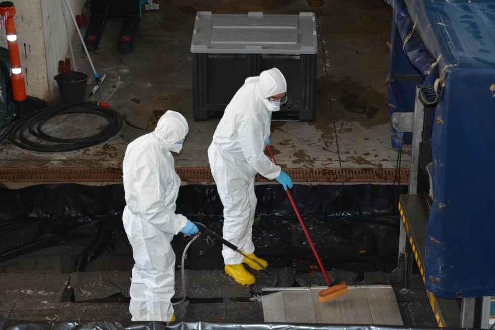 Kadavers onderzoeken met grootste omzichtigheid - Landbouwleven