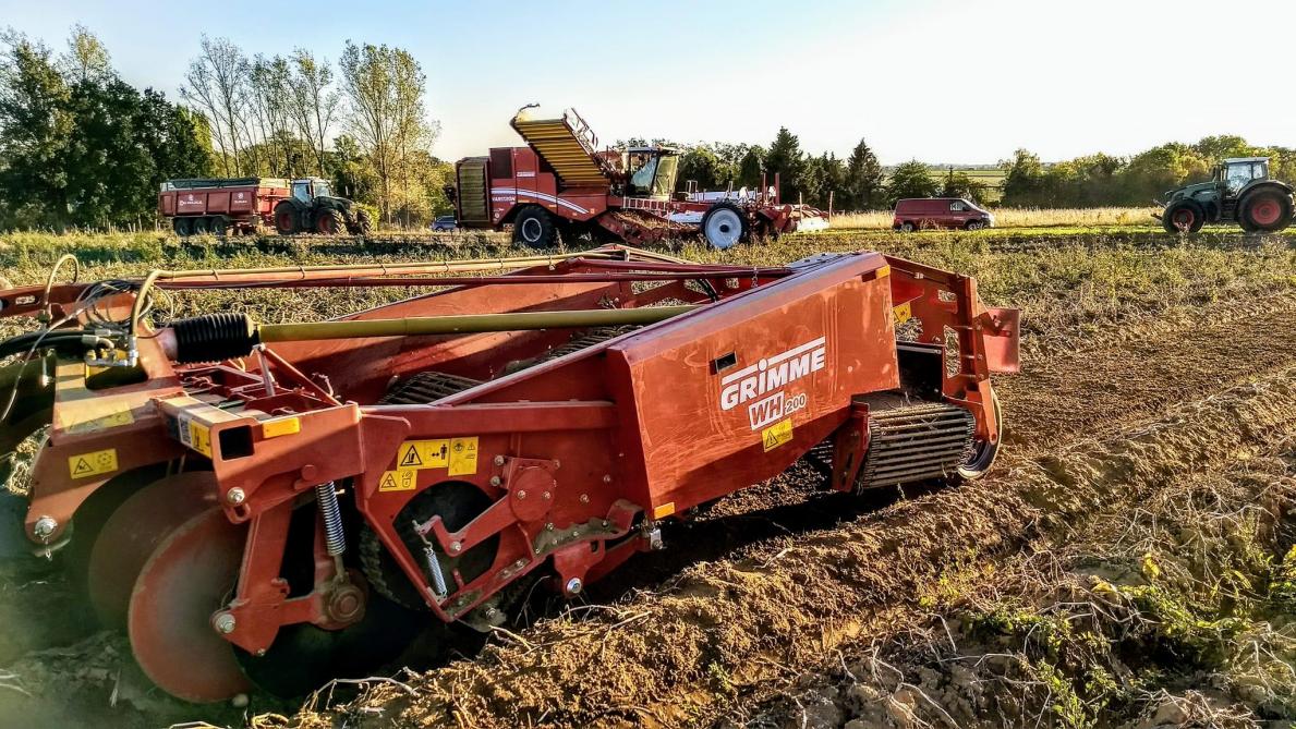 Aardappelrooiers en -poters: plantcombinatie en vierrijige rooier ...