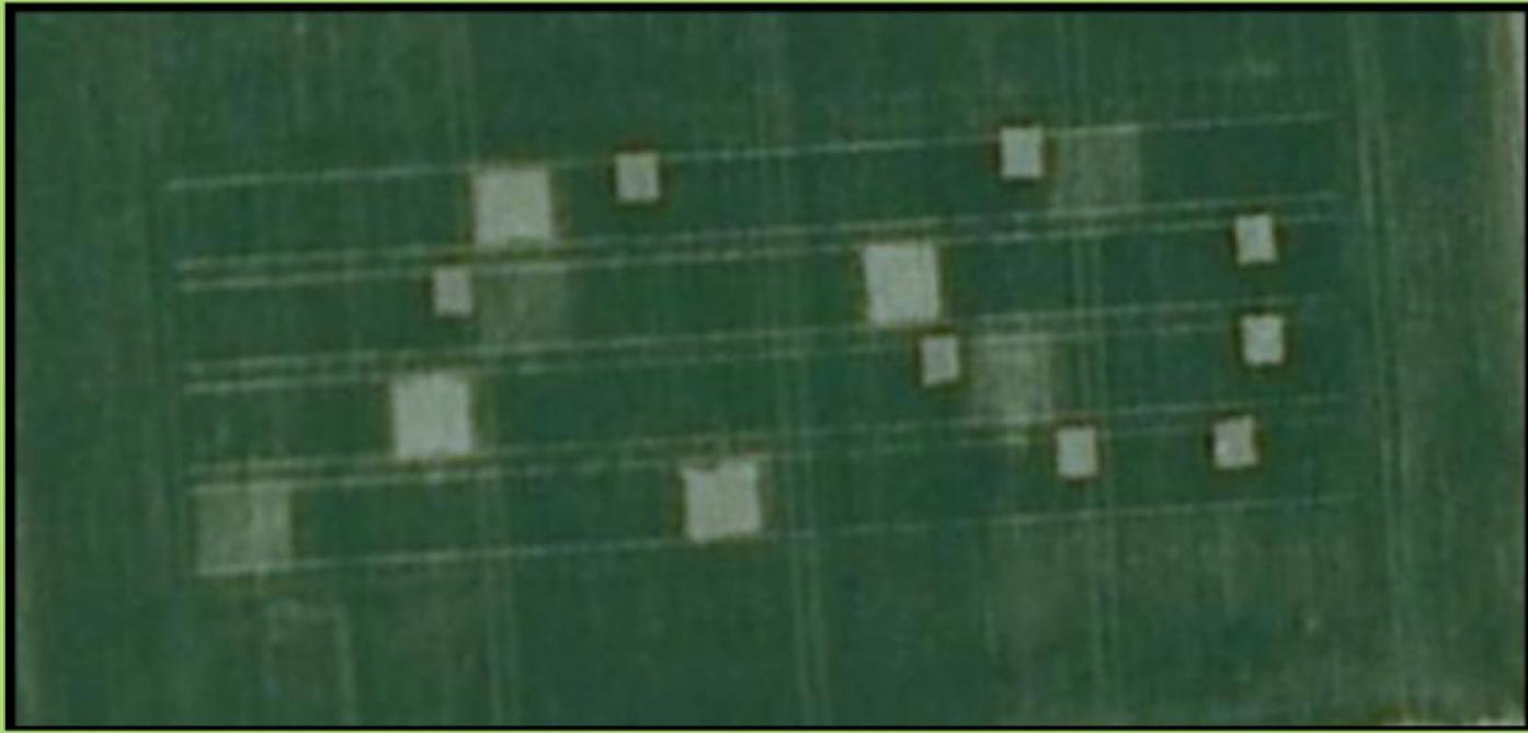 Compost voor meer opbrengst en bodemleven - Landbouwleven