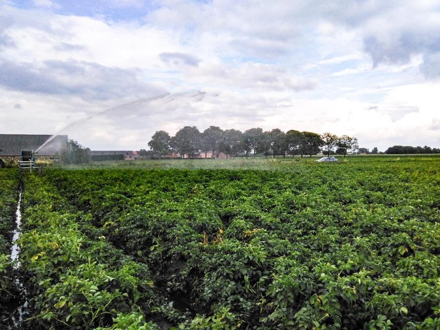 Wat kost beregening? - Landbouwleven