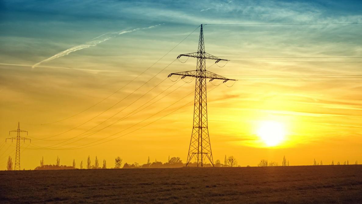 Protest tegen nieuwe hoogspanningslijn Ventilus groeit - Landbouwleven