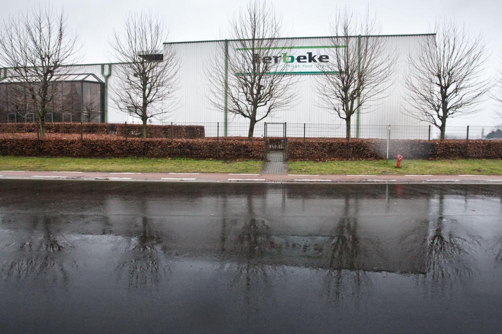 Aandeel Ter Beke geschorst na berichten over listeriadoden in Nederland ...