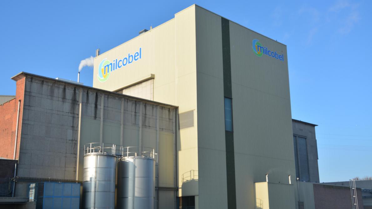 Ex-ceo Limelco wordt interim-topman Milcobel - Landbouwleven