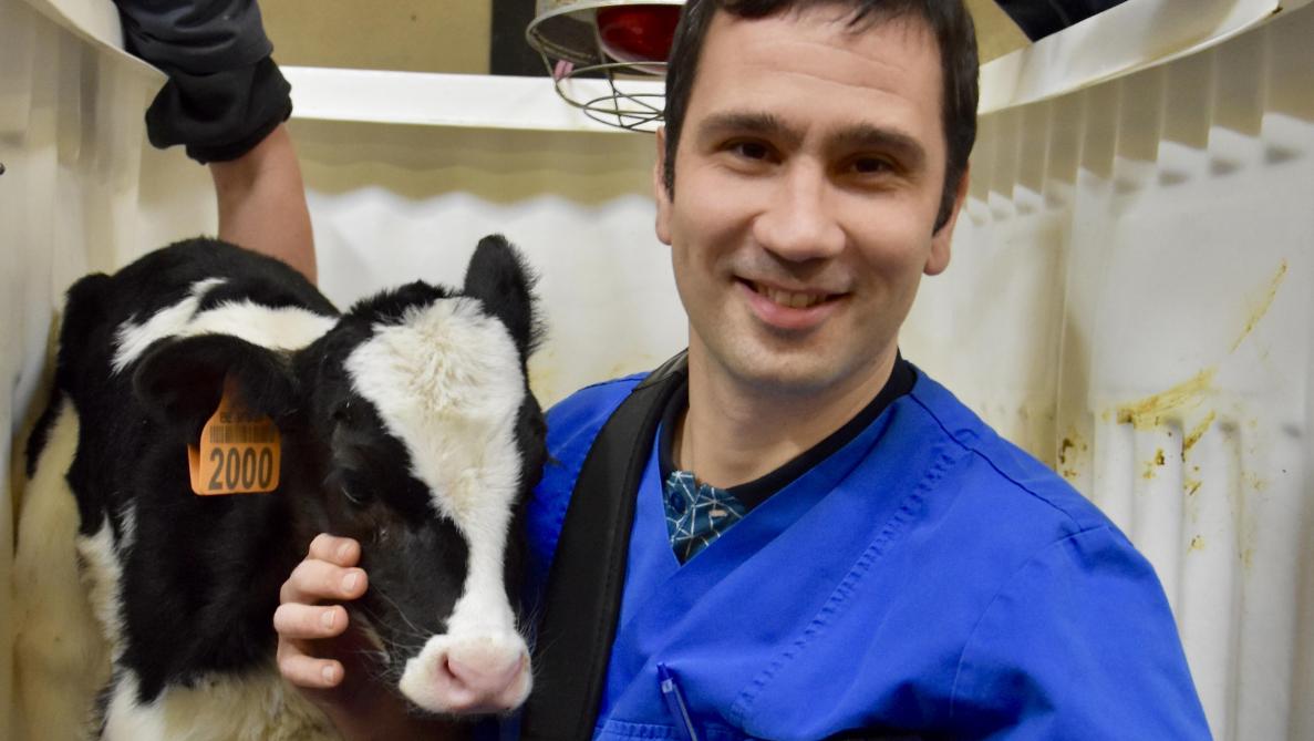 Prof Bart Pardon (UGent): ‘4 op 10 kalveren hebben een longaandoening ...