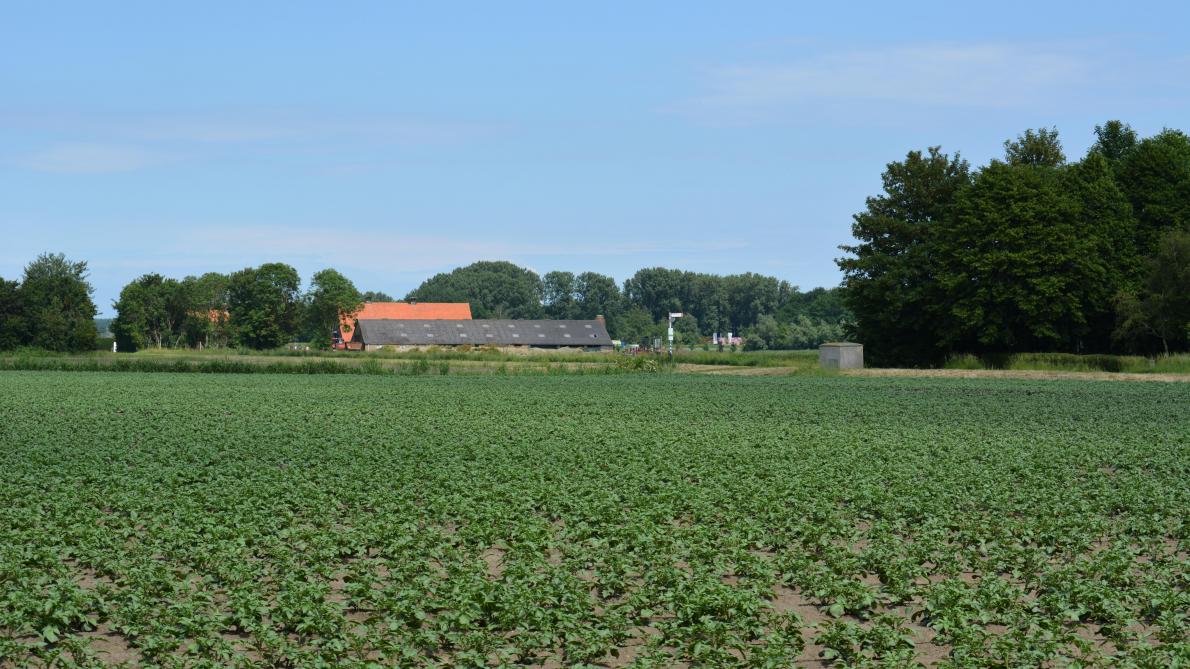 Overeenkomst op te korte afstand van de perceelsgrens? - Landbouwleven