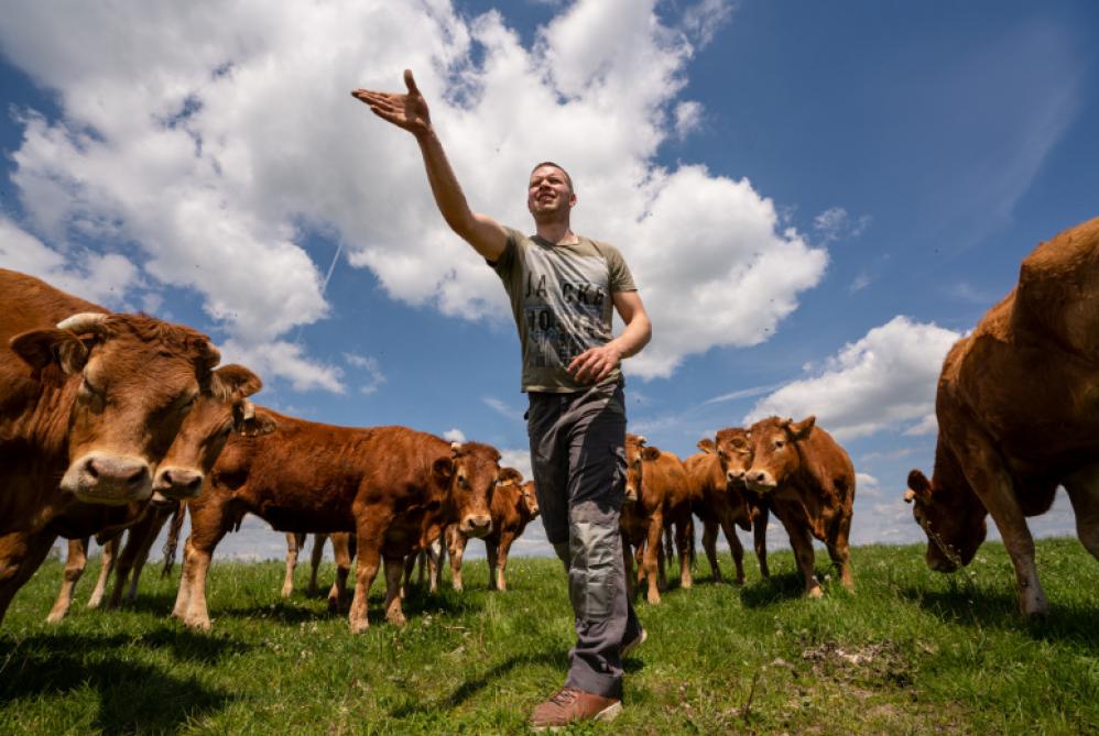 Boeren lanceren nieuw concept voor biovlees - Landbouwleven