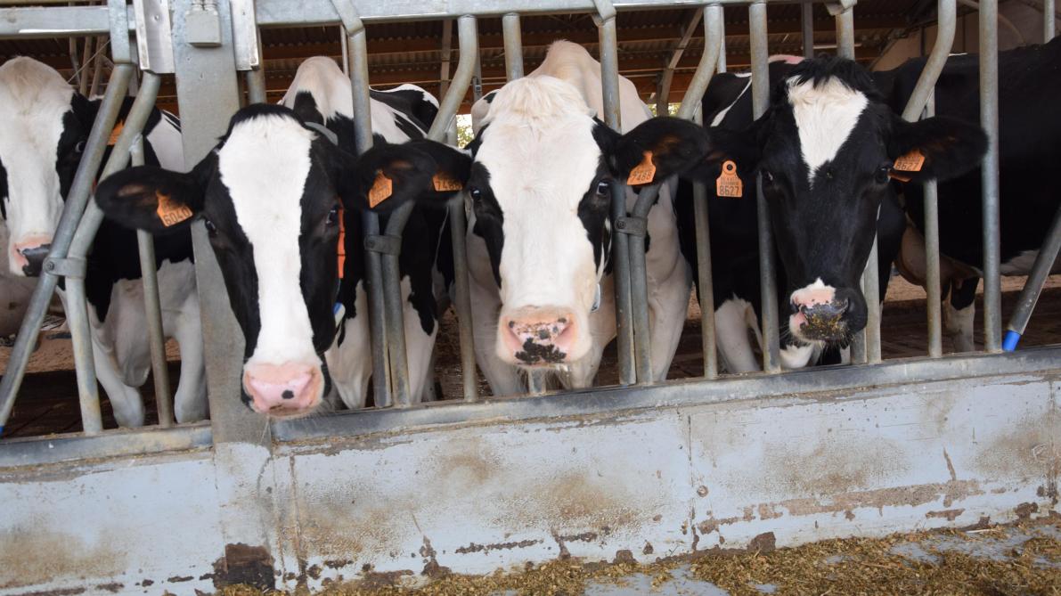 Wat veranderde er in de regelgeving voor de bestrijding van ...