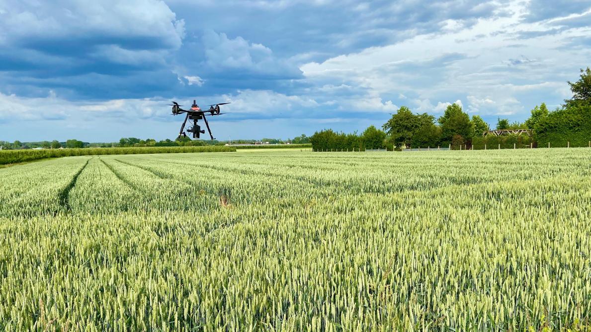 Drones en landbouw: a perfect match? - Landbouwleven