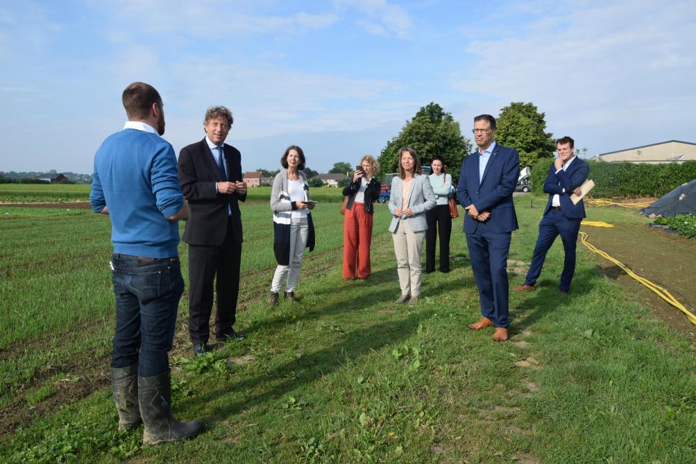 “België en Nederland zijn top als het gaat om innovatie in de landbouw ...
