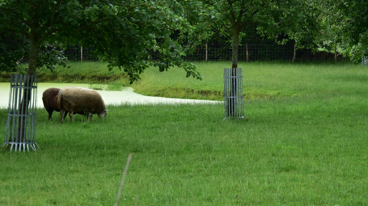 Aanvragen voor niet-productieve investeringen in de lift, maar nog ruimte voor extra ...