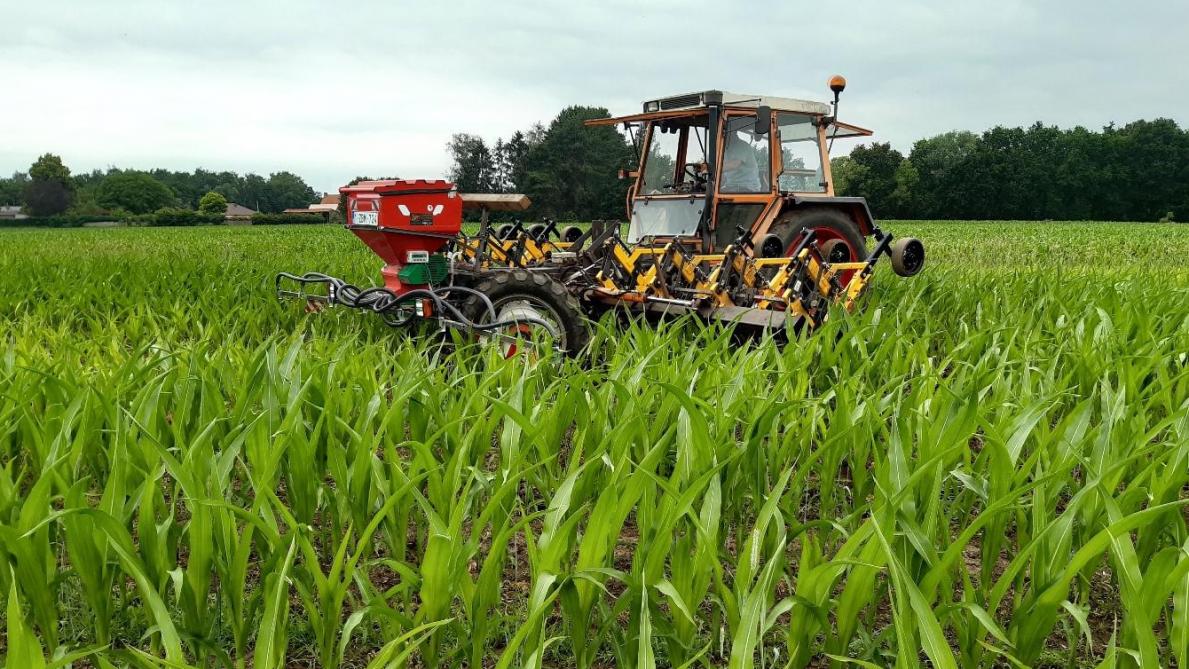 Roterende schoffelmachine voor onkruidbestrijding en grasonderzaai in ...