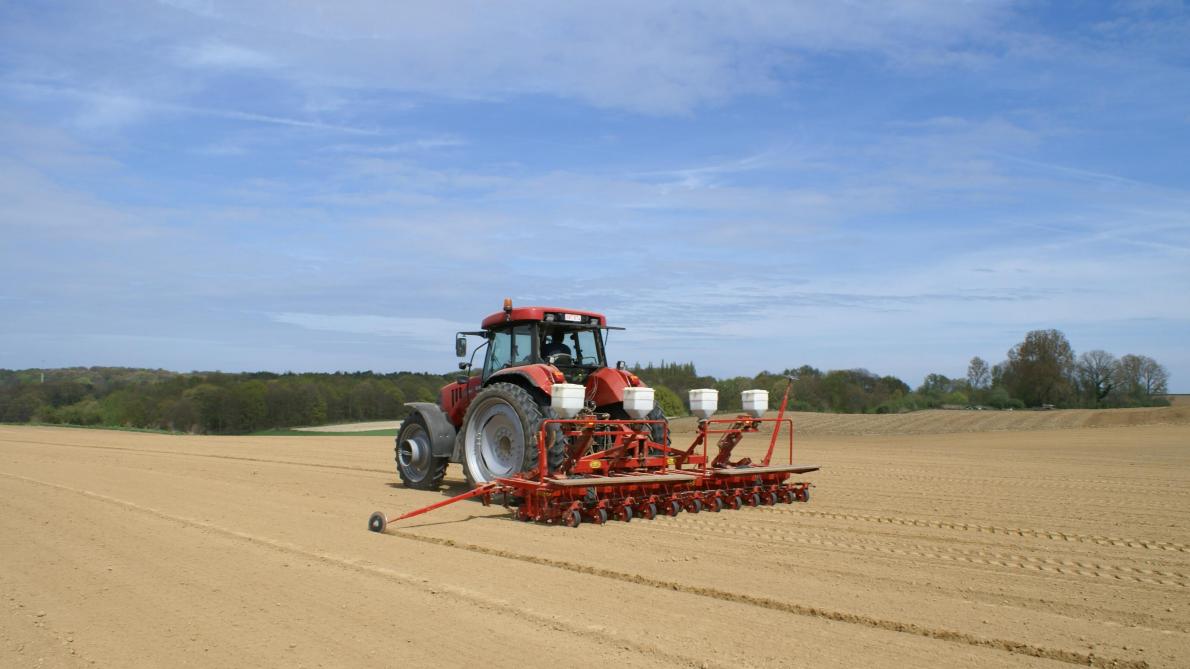 Handelt Beneo-Orafti correct met haar telers? - Landbouwleven