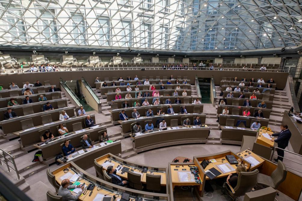 Chaos in Vlaamse regering over stikstofakkoord - Landbouwleven