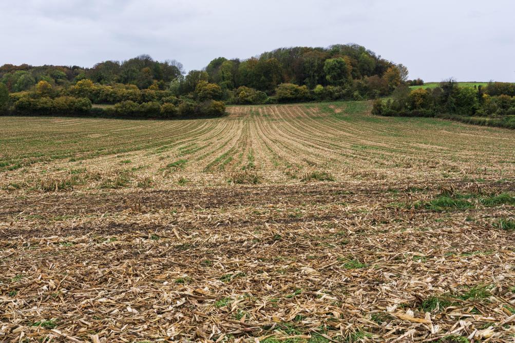 Boeren protesteren tegen verkoop OCMW-gronden aan Fernand Huts ...