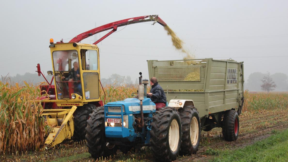 Retro Oogstdag verhuist naar Aalter - Landbouwleven