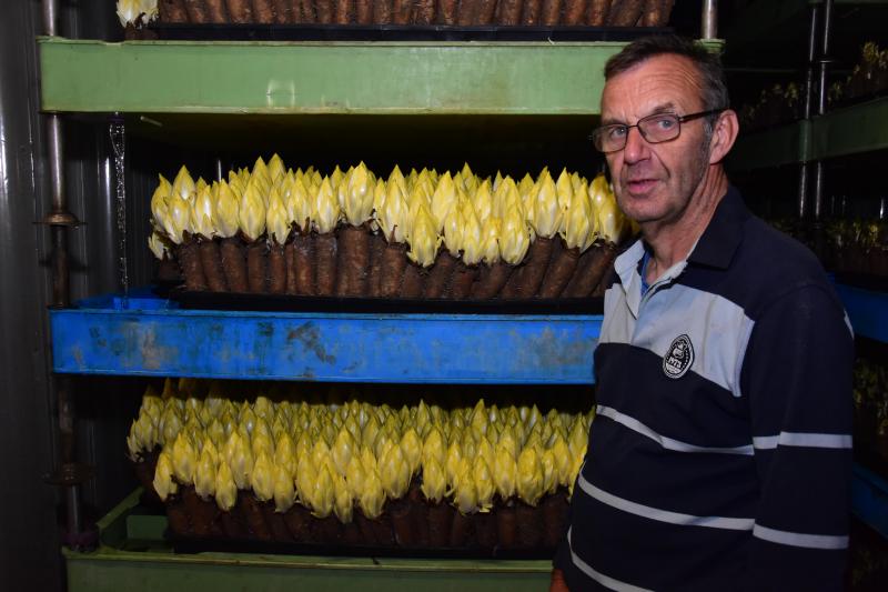 Marc D’hooghe : ‘Er is nog een boeiend leven na... het faillissement ...