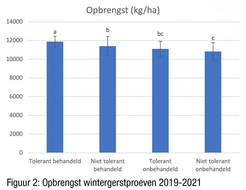 Blijf bladluisdruk ook bij tolerante wintergerstrassen opvolgen ...