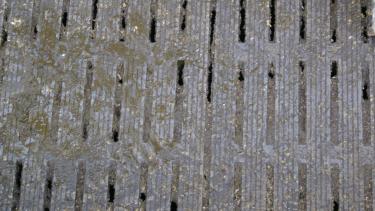 Wat is het verschil tussen ammoniak en methaan? - Landbouwleven