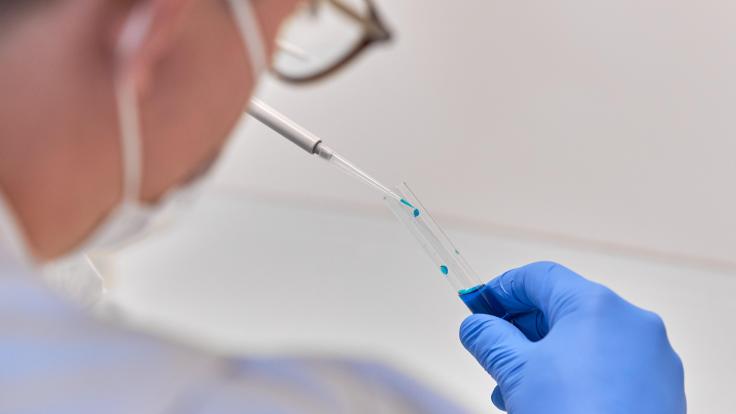 Dit was 2021 voor het FAVV: ethyleenoxide, brexit, PFAS en vogelgriep ...