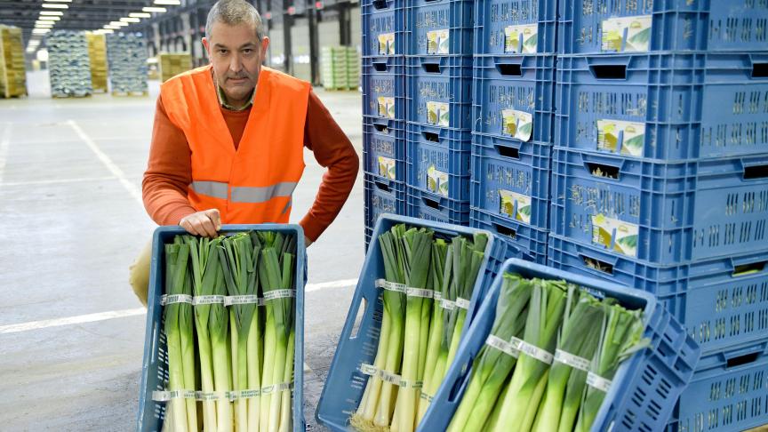 2019 was weer een behoorlijk goed jaar voor REO Veiling - Landbouwleven