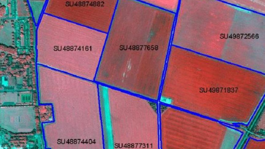 Onregelmatige perceelsregistratie is riskant - Landbouwleven